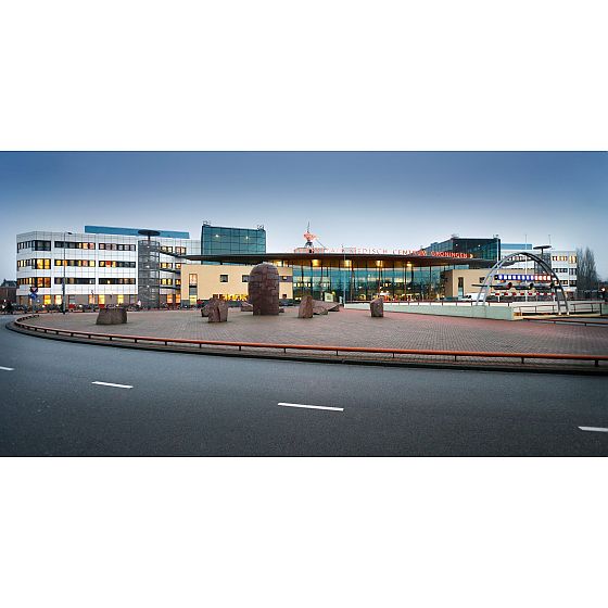 UMCG neemt afscheid van kikker in logo › GROC - Groninger Ondernemers ...